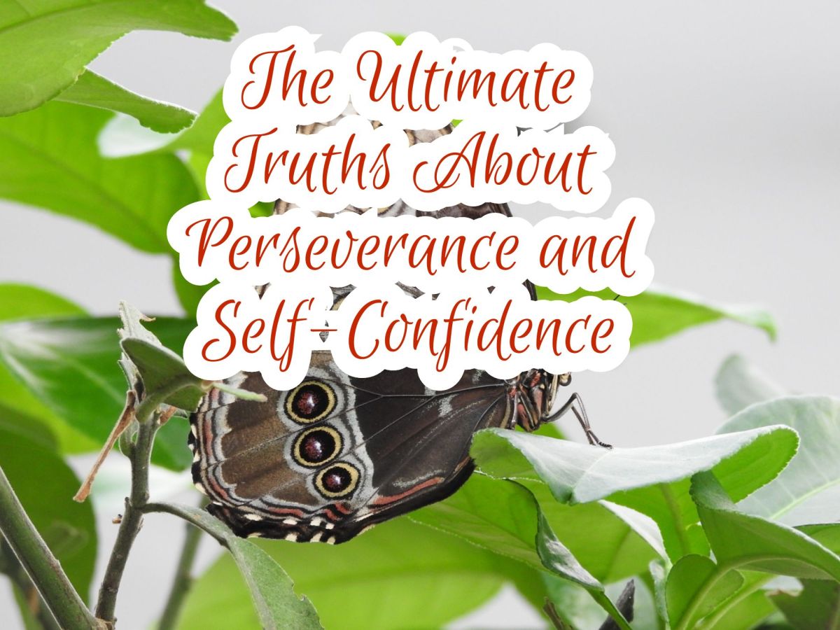 The Ultimate Truths About Perseverance and Self-Confidence – Life ...