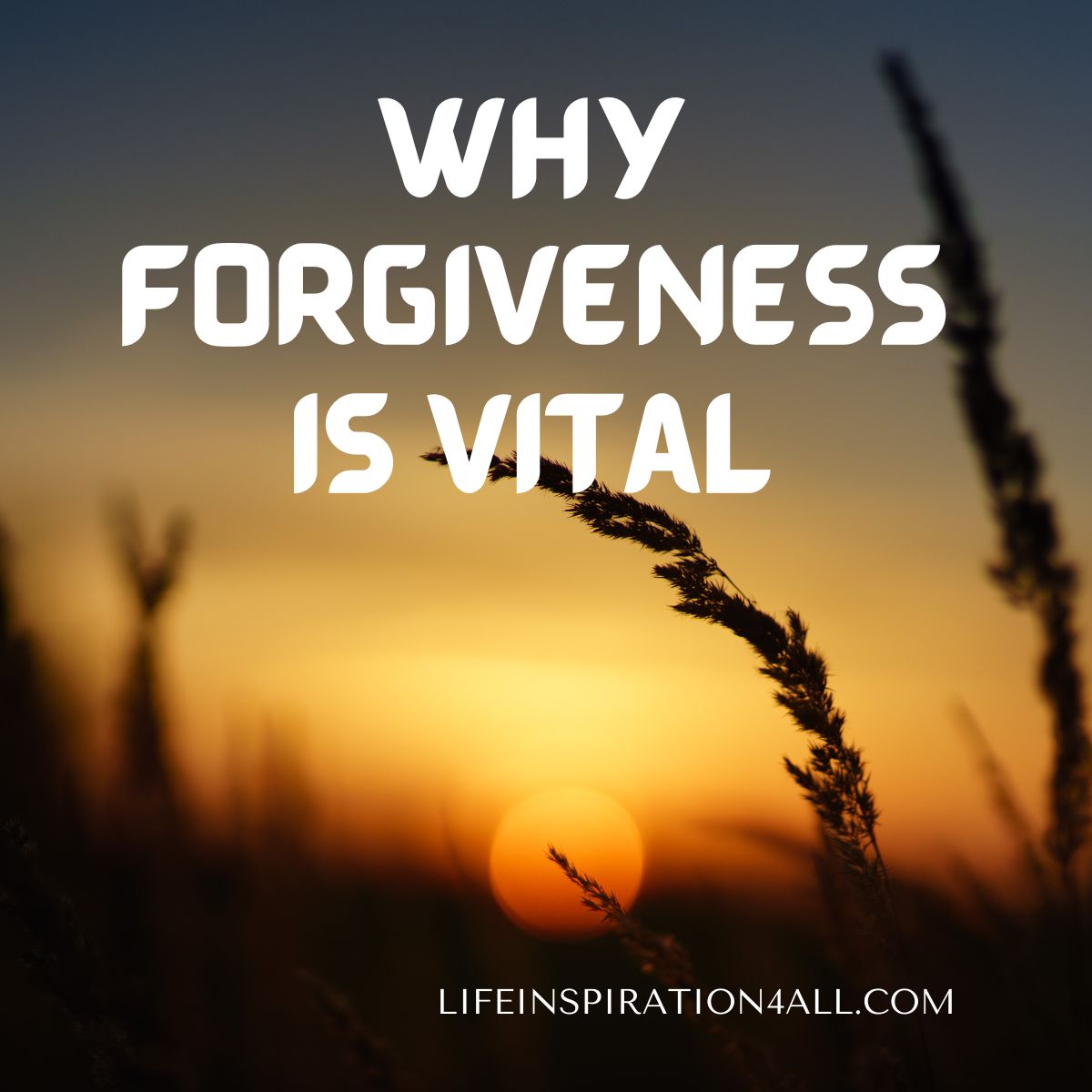 Why Forgiveness Is Importance in Personal Growth – Life Inspiration