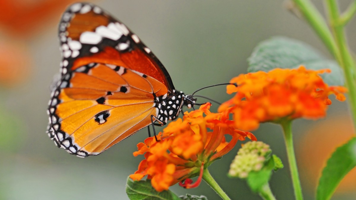 Why Life Is a Wonder: Exploring the Magic of Everyday Moments – Life ...